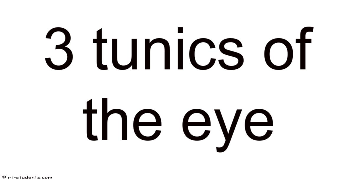 3 Tunics Of The Eye