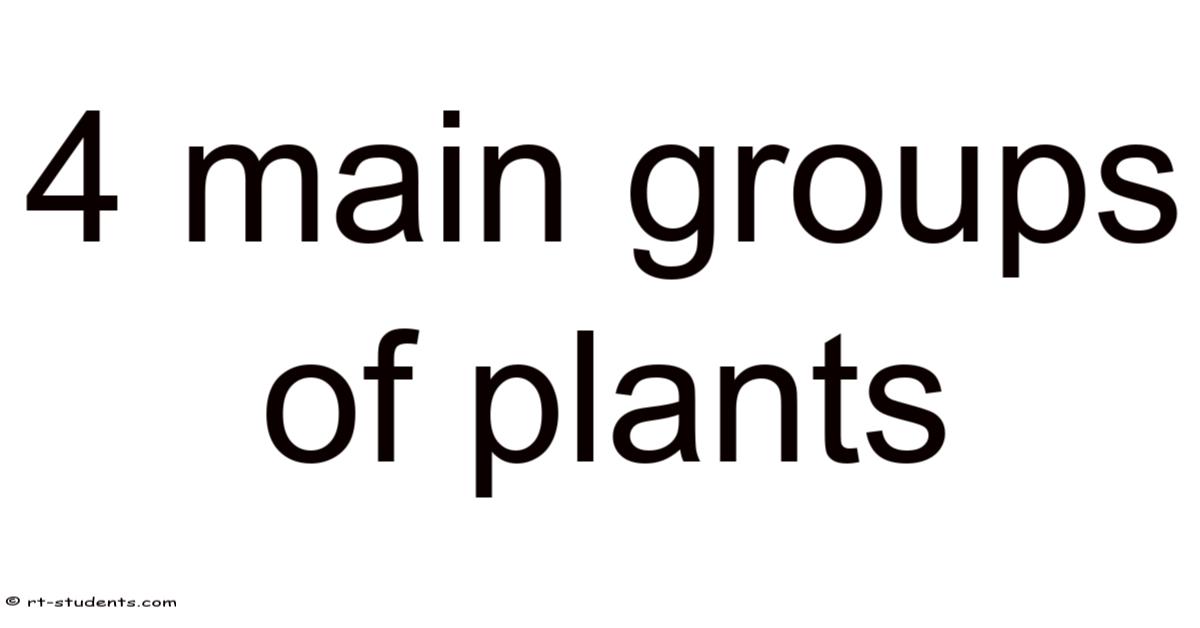 4 Main Groups Of Plants