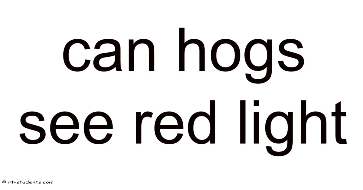Can Hogs See Red Light