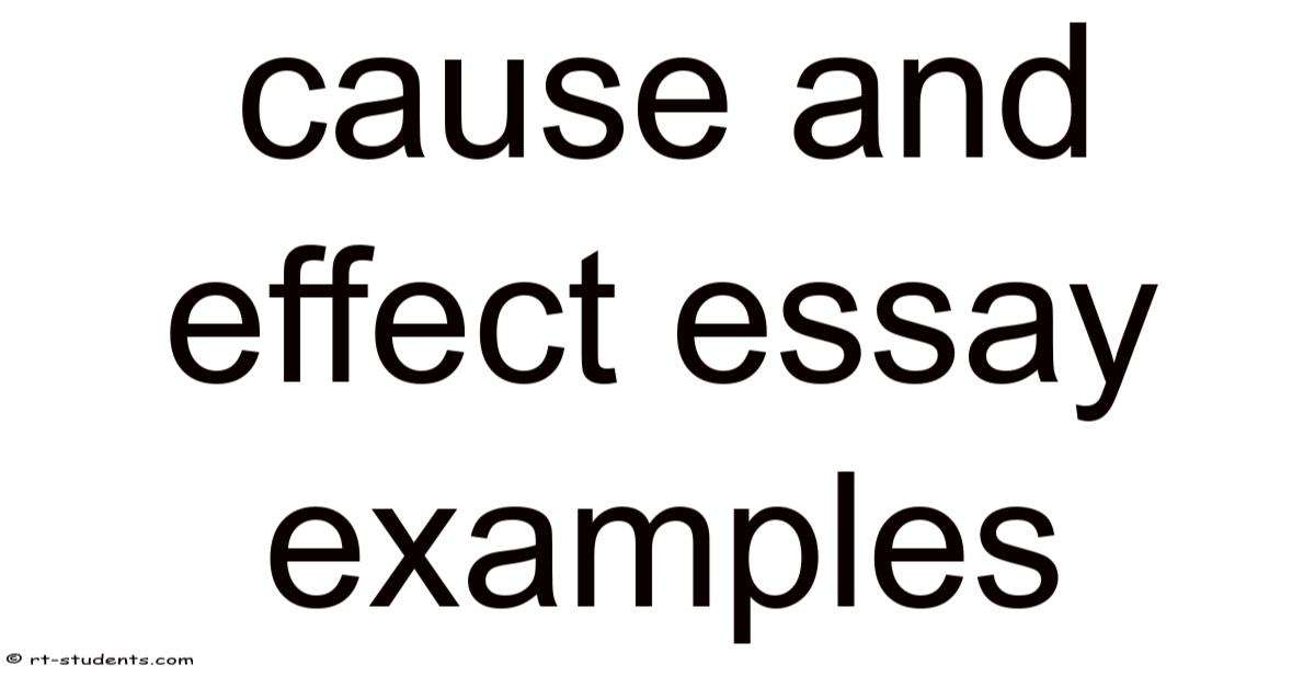 Cause And Effect Essay Examples