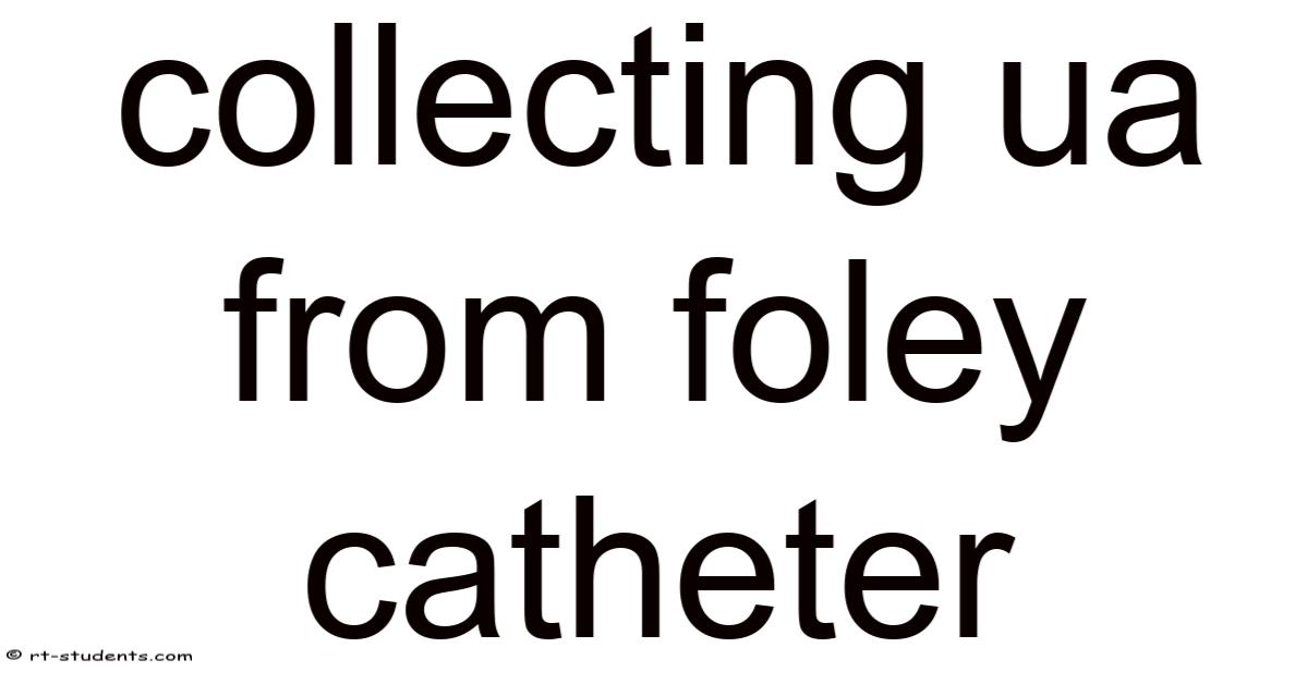 Collecting Ua From Foley Catheter