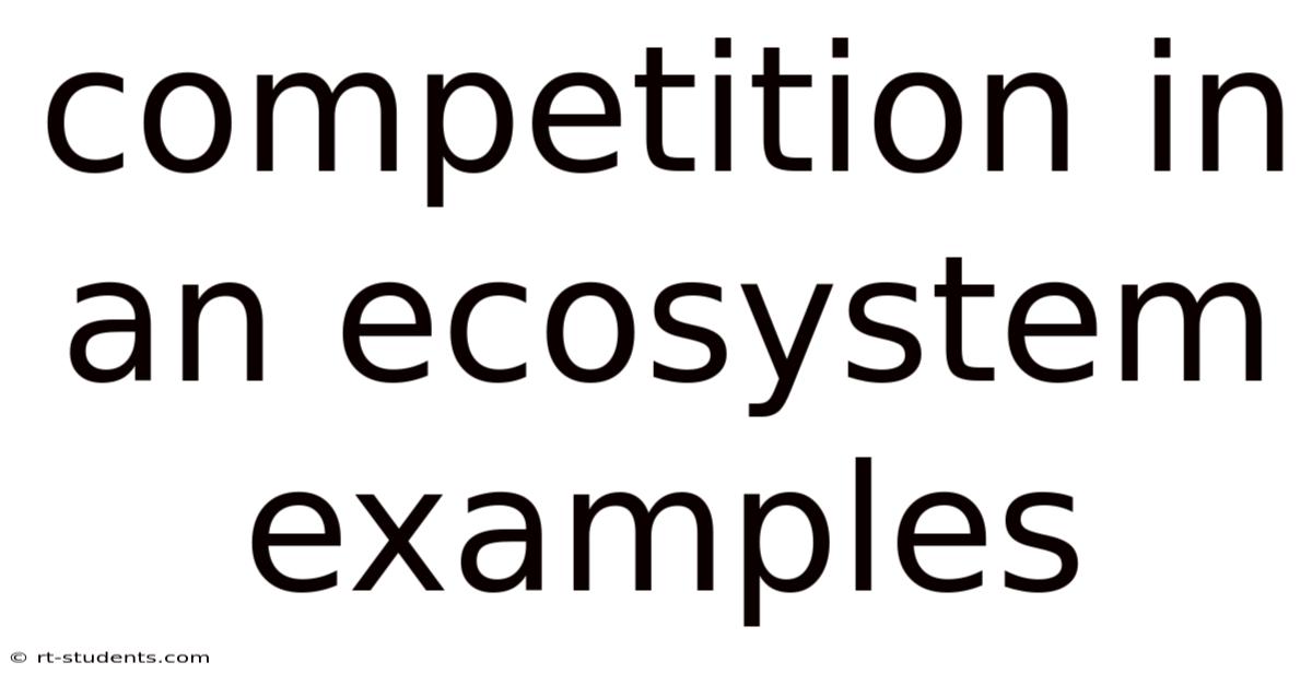 Competition In An Ecosystem Examples