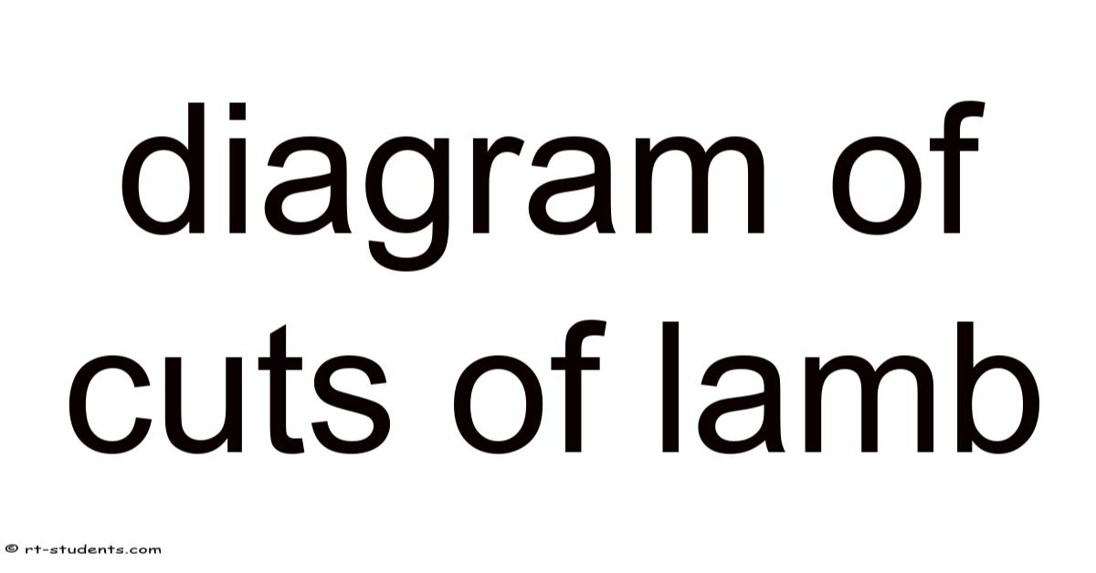 Diagram Of Cuts Of Lamb