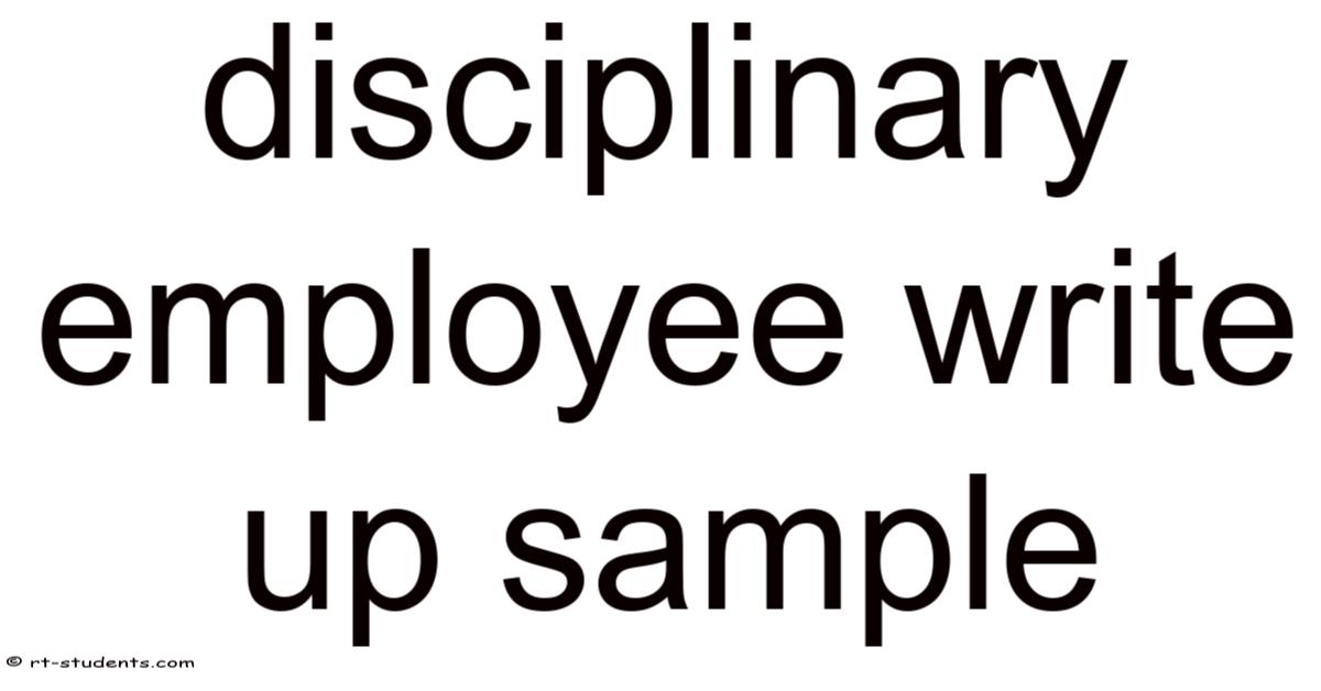 Disciplinary Employee Write Up Sample
