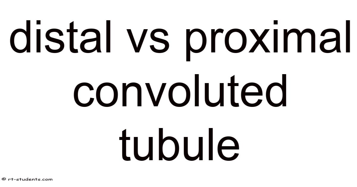 Distal Vs Proximal Convoluted Tubule