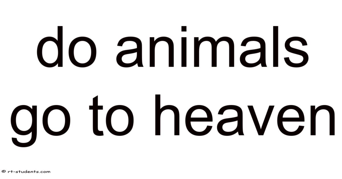 Do Animals Go To Heaven