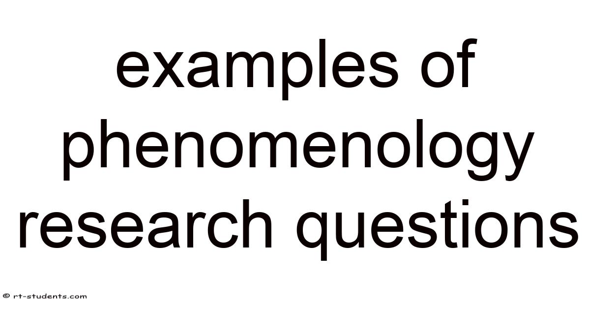 Examples Of Phenomenology Research Questions