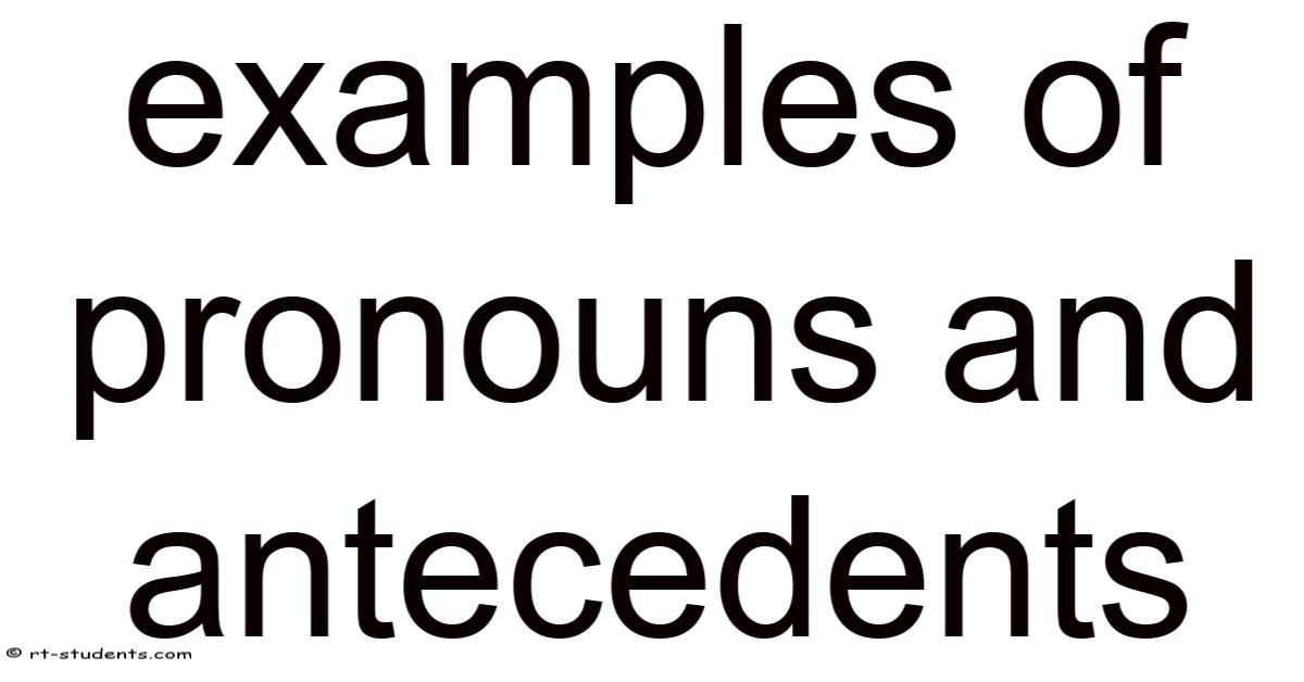 Examples Of Pronouns And Antecedents