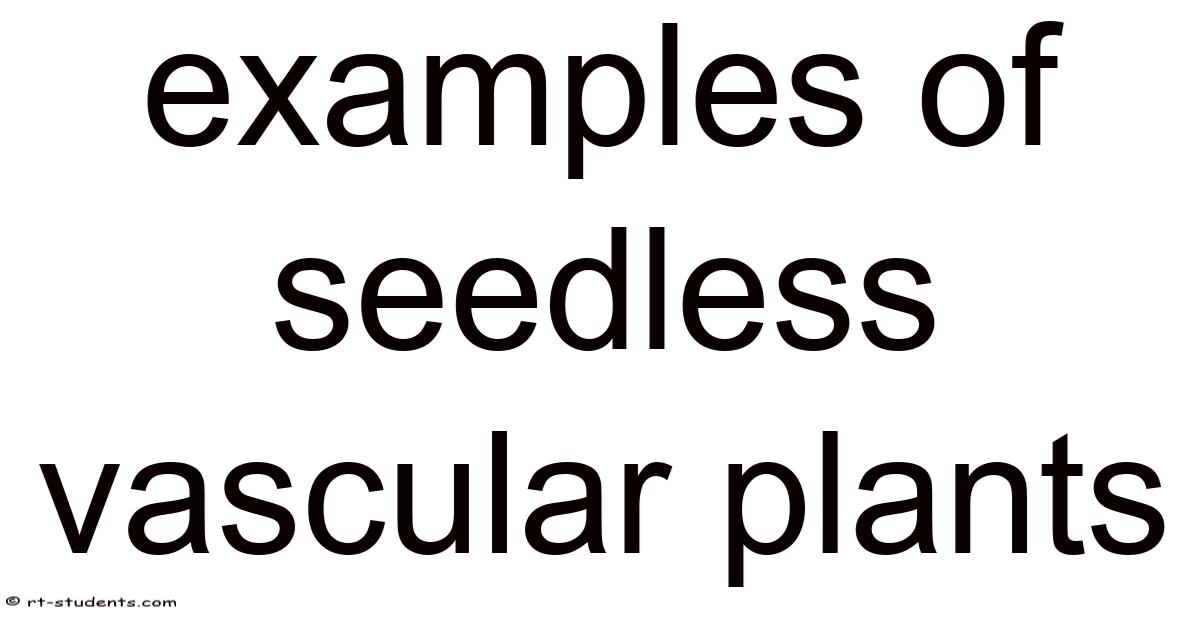 Examples Of Seedless Vascular Plants