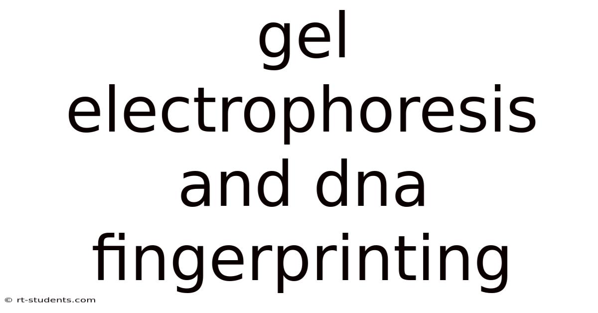 Gel Electrophoresis And Dna Fingerprinting