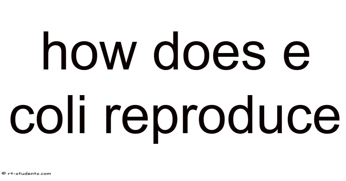 How Does E Coli Reproduce
