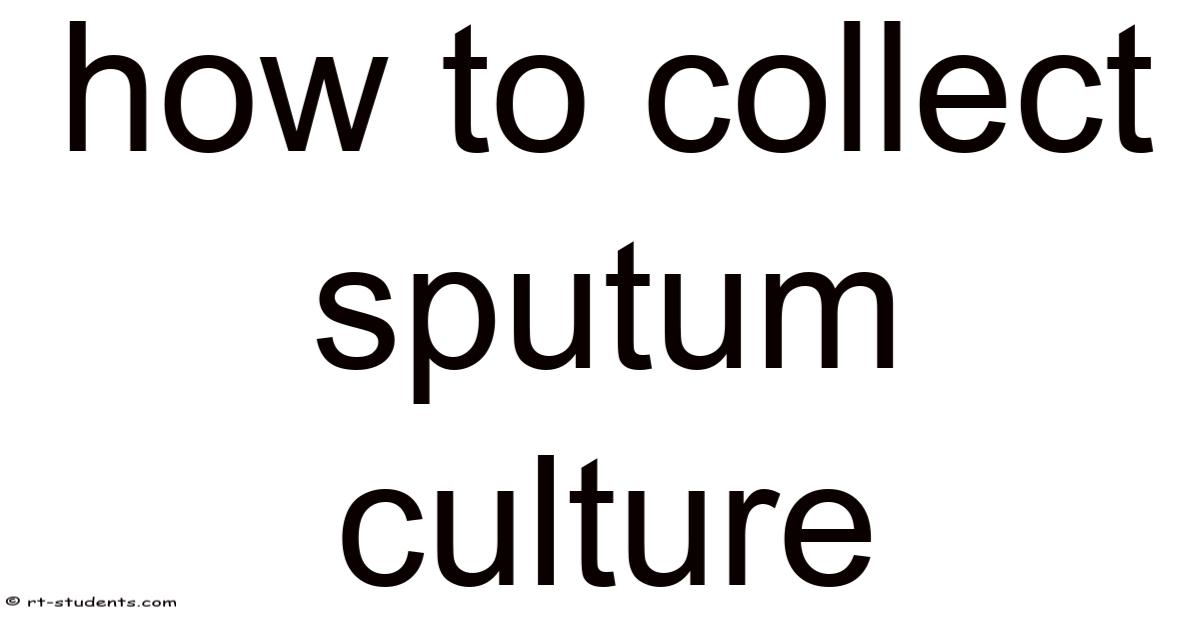 How To Collect Sputum Culture