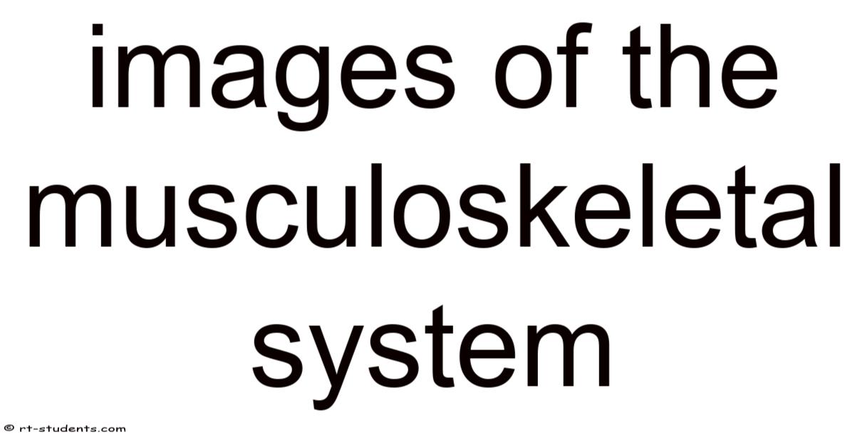 Images Of The Musculoskeletal System