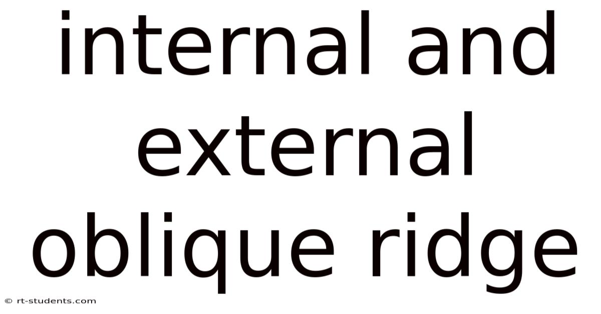Internal And External Oblique Ridge