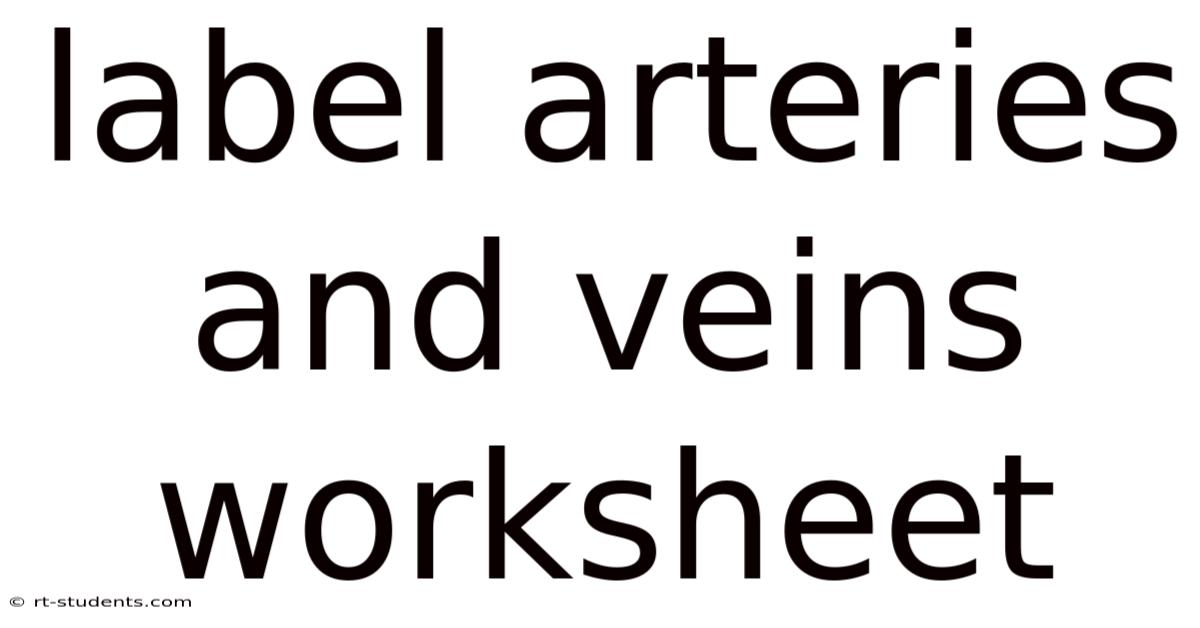 Label Arteries And Veins Worksheet