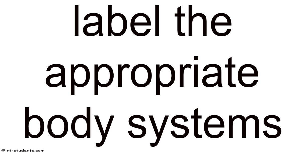 Label The Appropriate Body Systems