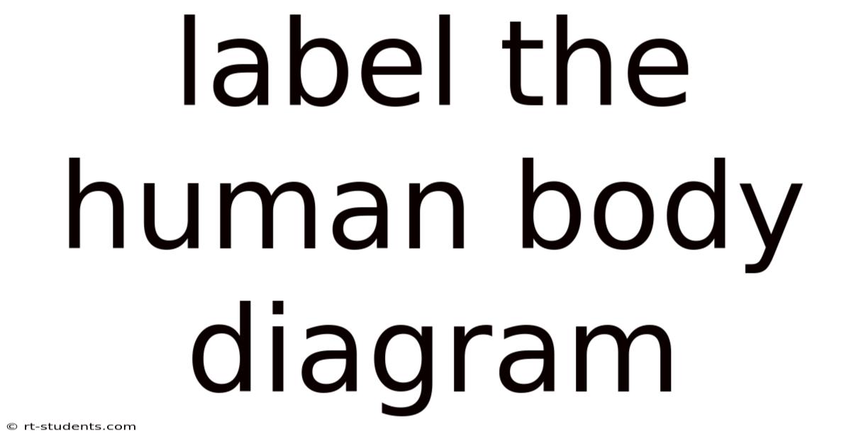 Label The Human Body Diagram
