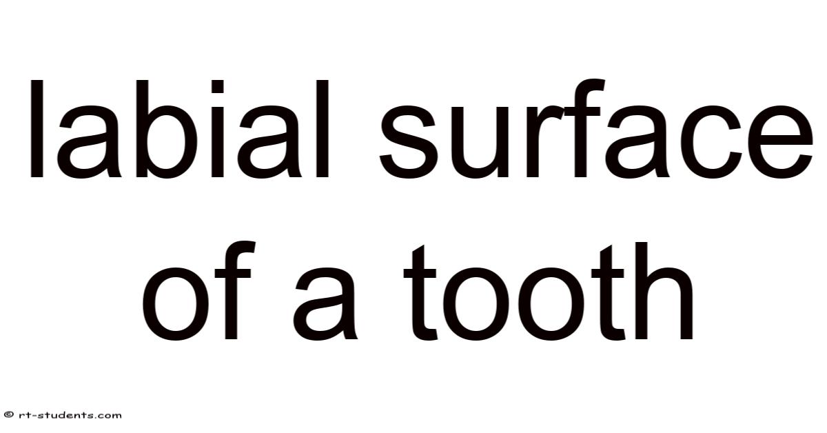 Labial Surface Of A Tooth