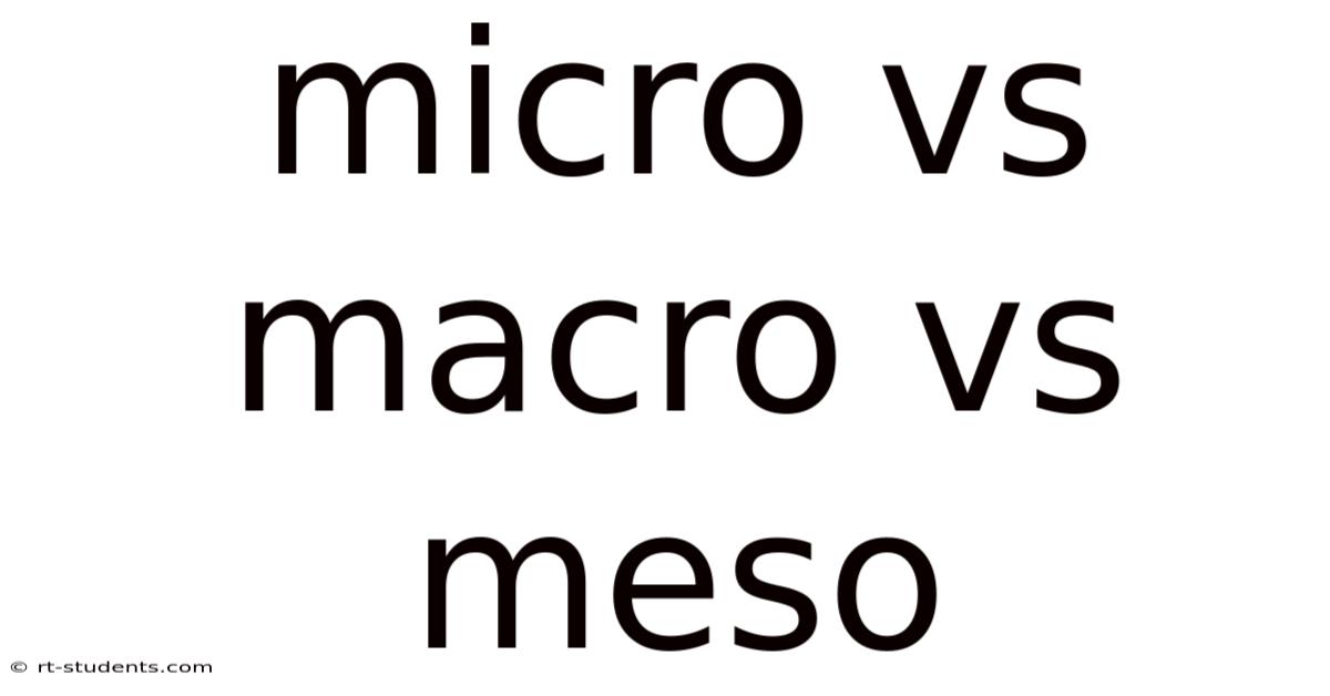 Micro Vs Macro Vs Meso