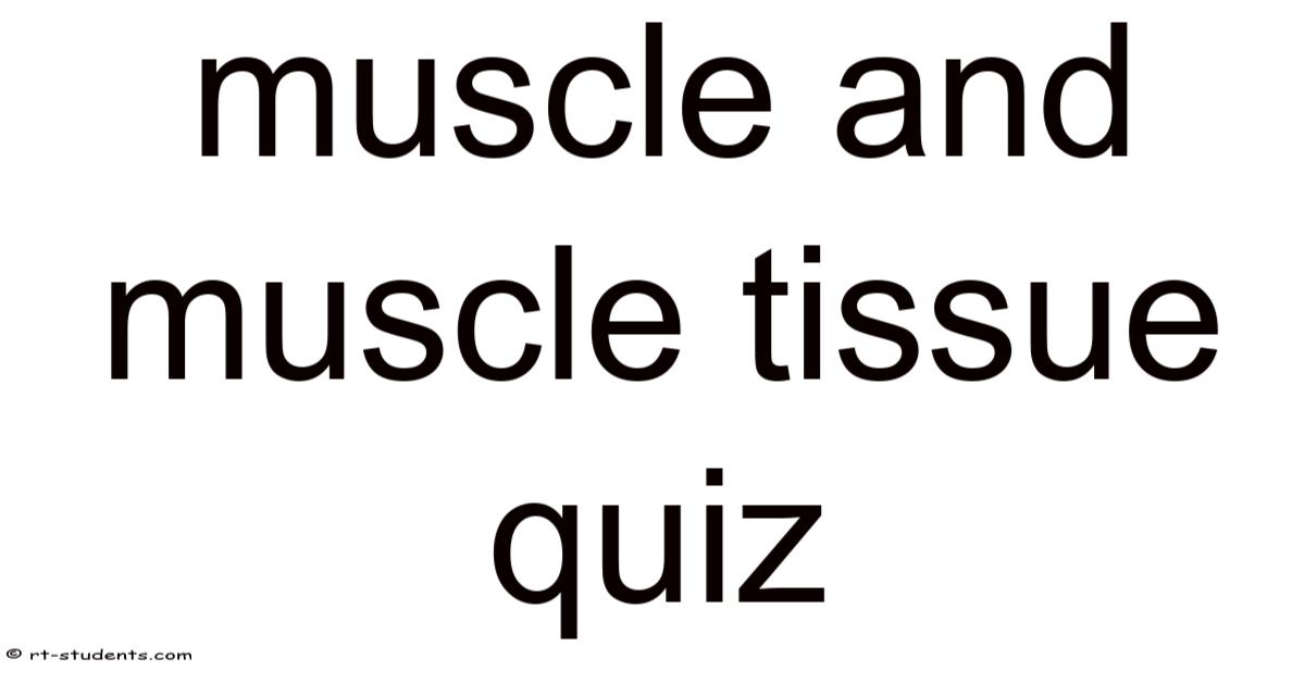 Muscle And Muscle Tissue Quiz