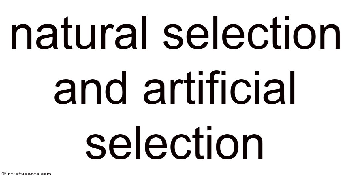 Natural Selection And Artificial Selection