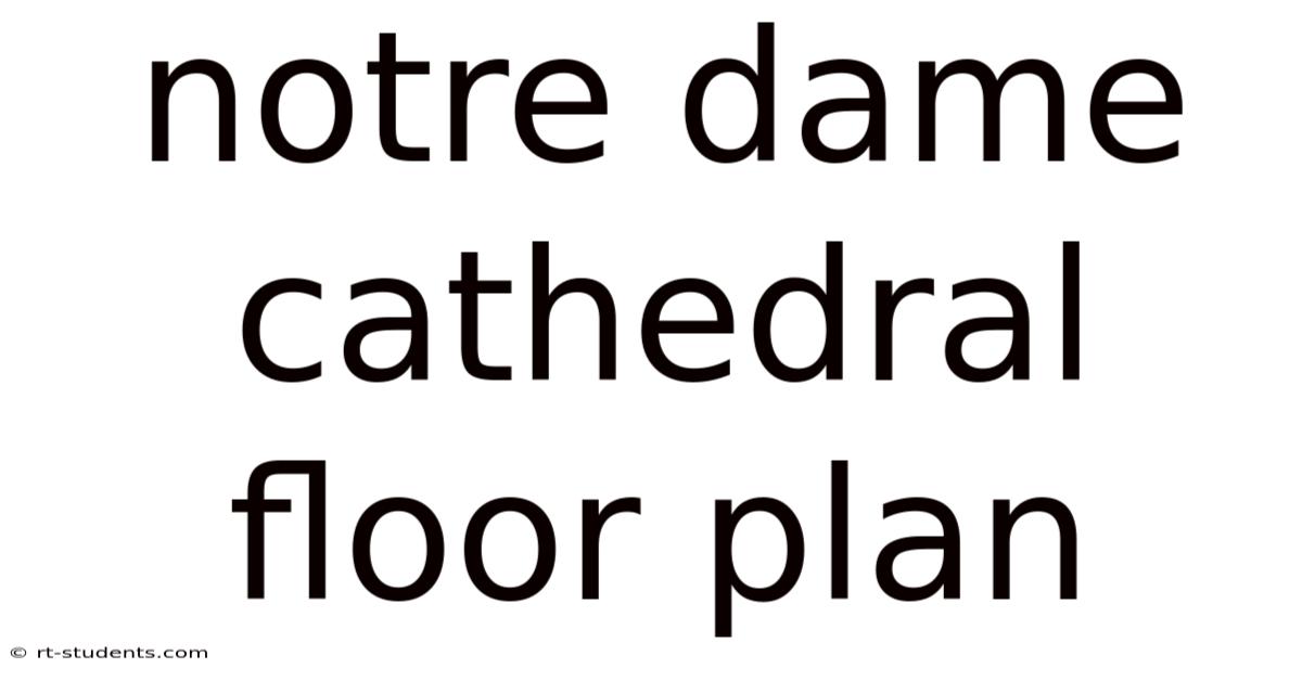 Notre Dame Cathedral Floor Plan