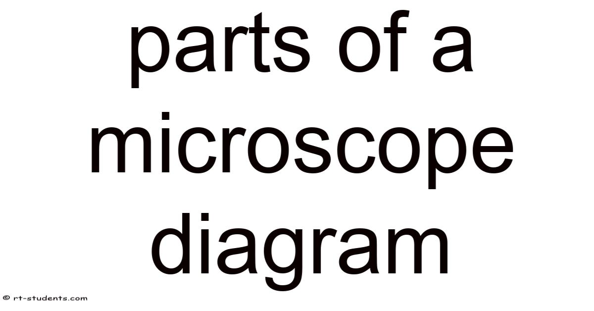 Parts Of A Microscope Diagram