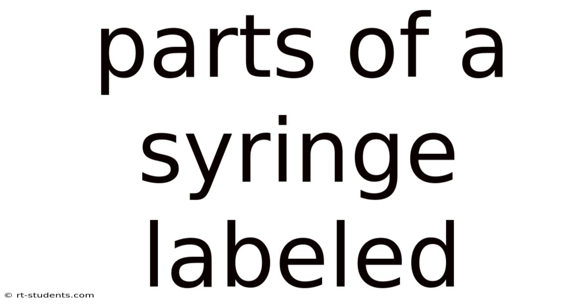 Parts Of A Syringe Labeled