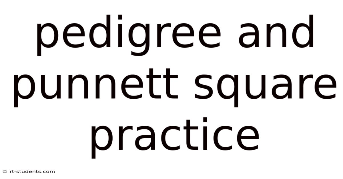 Pedigree And Punnett Square Practice