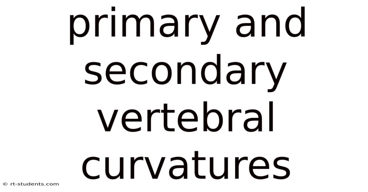 Primary And Secondary Vertebral Curvatures