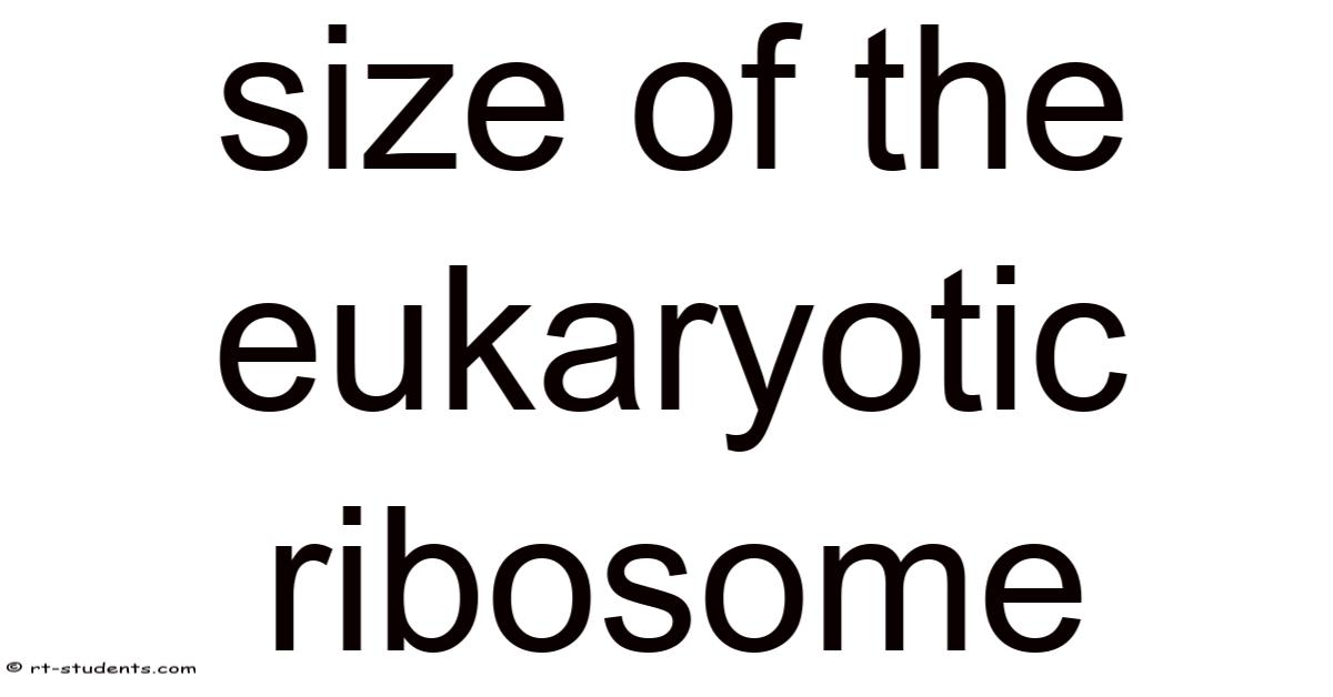 Size Of The Eukaryotic Ribosome
