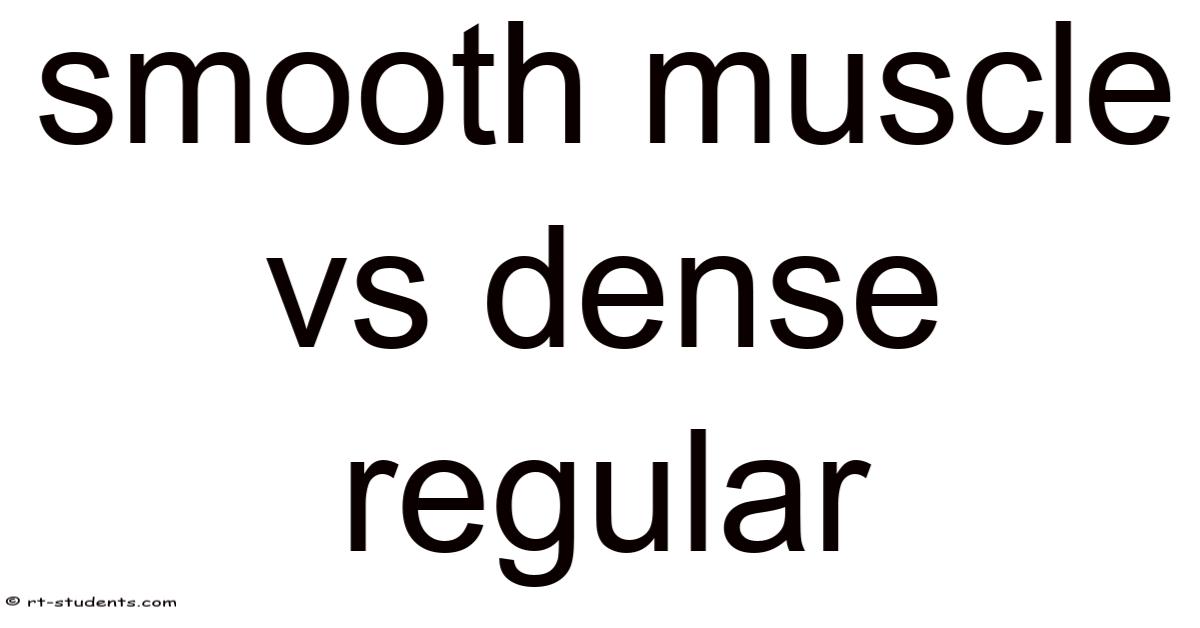 Smooth Muscle Vs Dense Regular