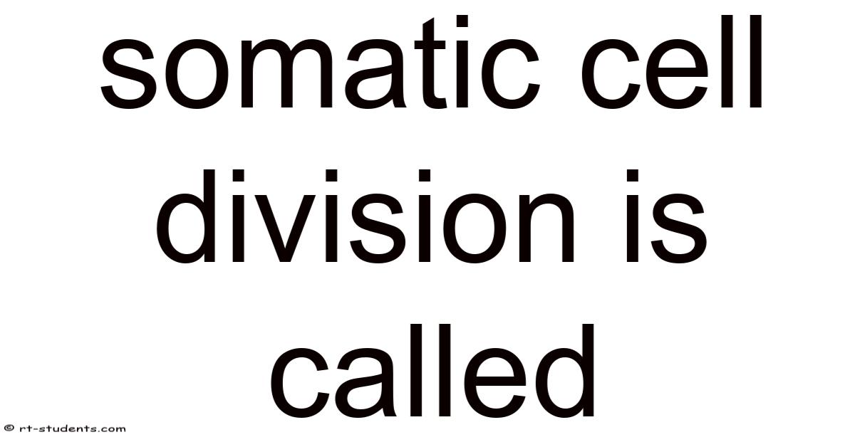 Somatic Cell Division Is Called
