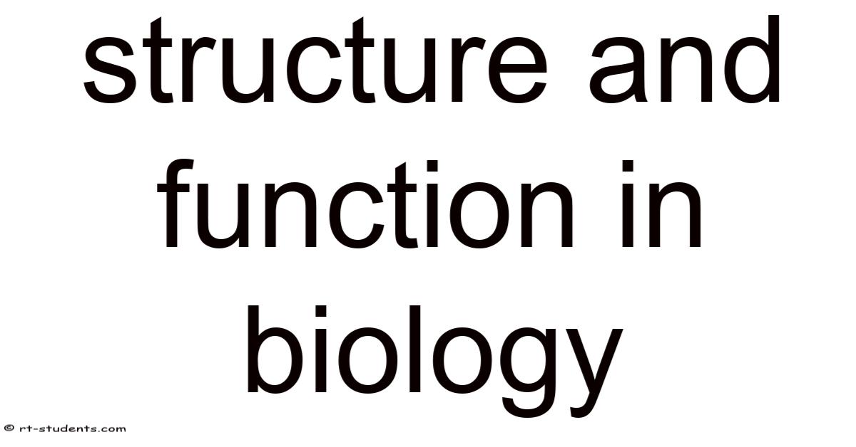 Structure And Function In Biology