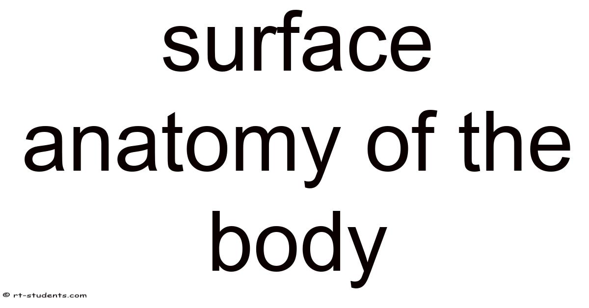 Surface Anatomy Of The Body