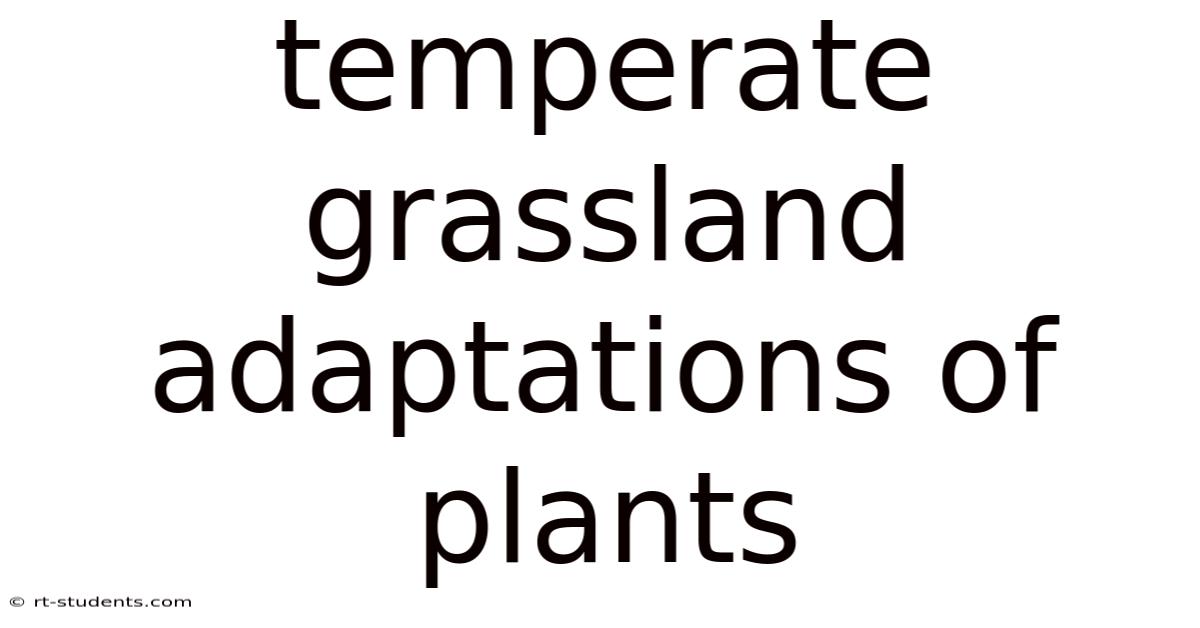 Temperate Grassland Adaptations Of Plants