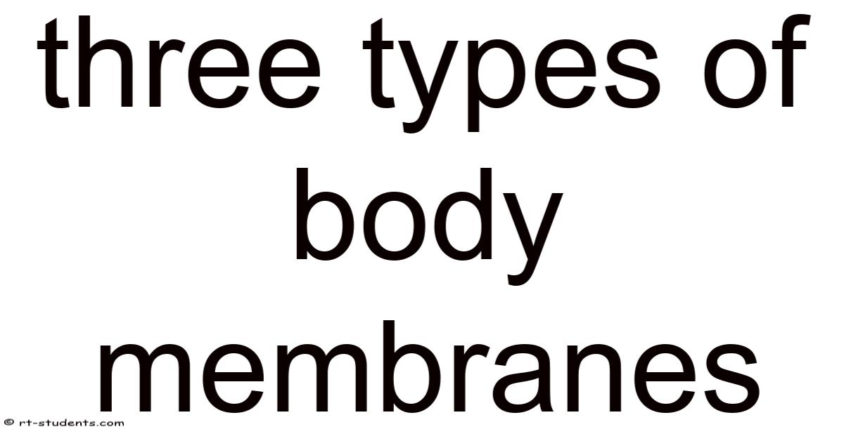 Three Types Of Body Membranes
