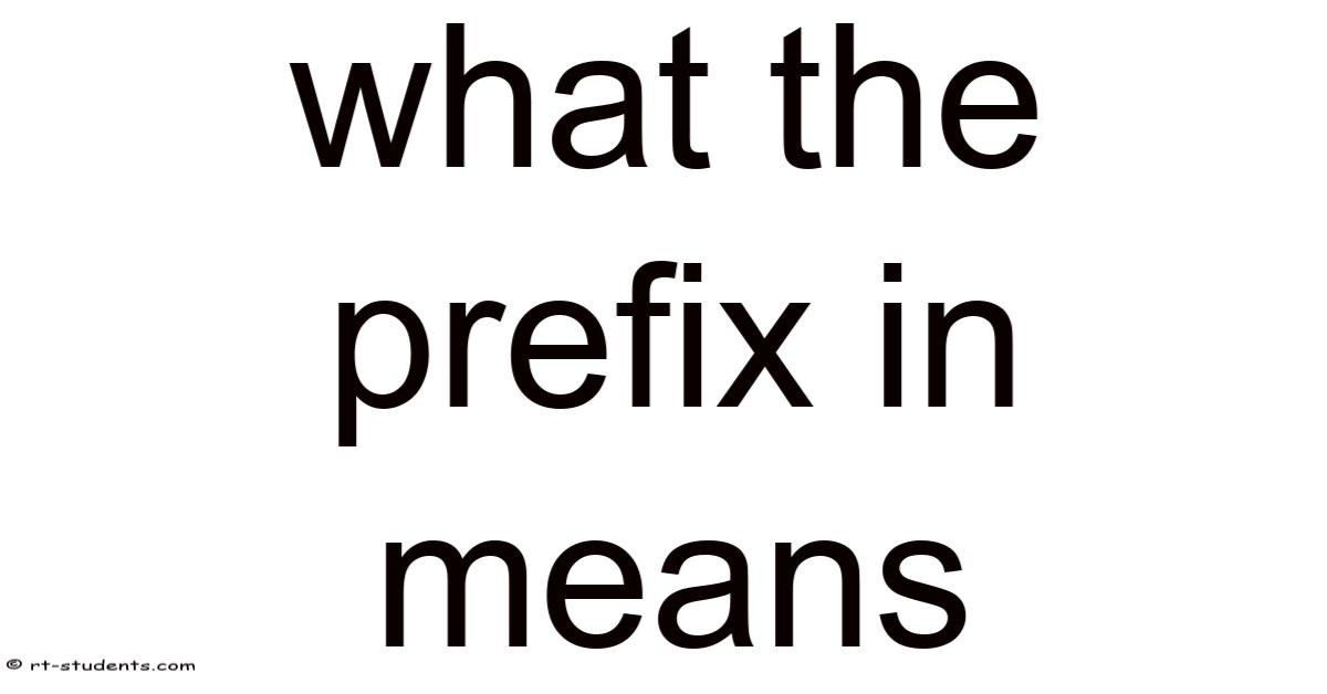 What The Prefix In Means